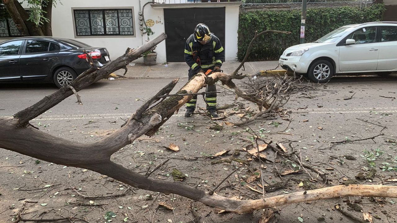 Activan Alerta Por Vientos Fuertes En Cdmx Diario Locomento